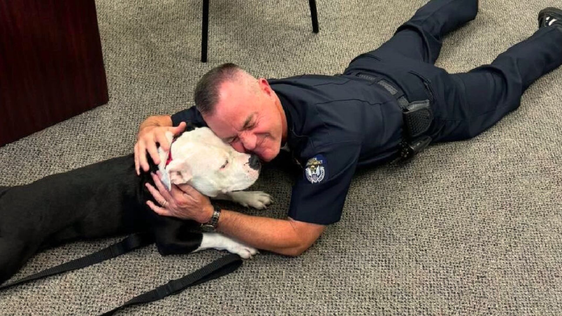 Overlooked Shelter Dog Visit The Local Police Department And Becomes A ...